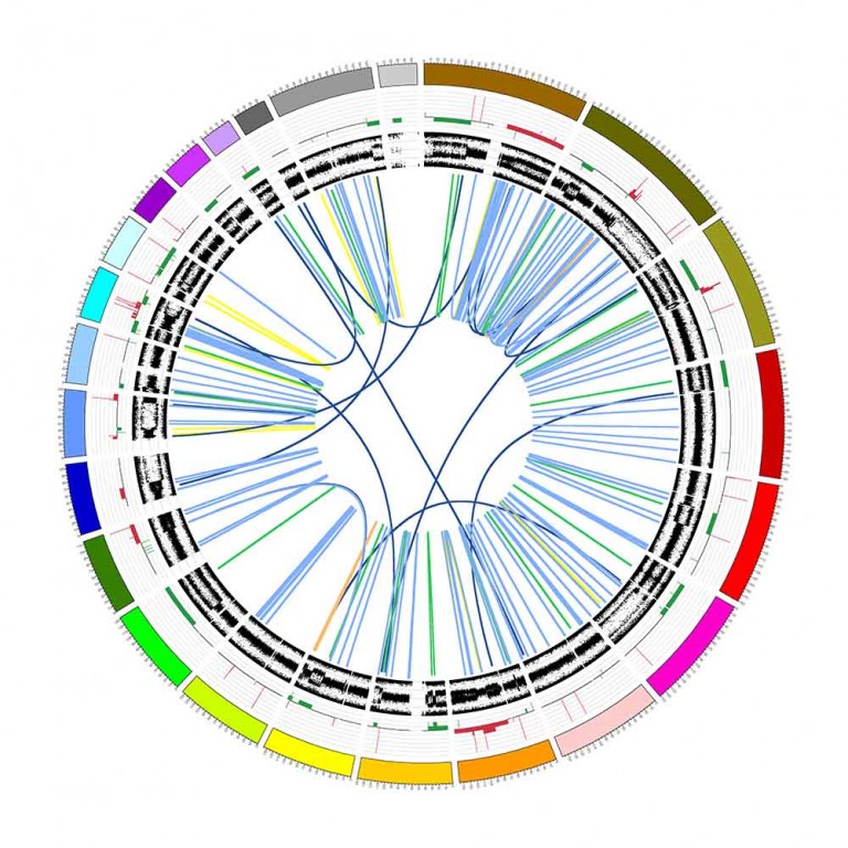 Research-Genomics | Australian Pancreatic Cancer Genome Initiative